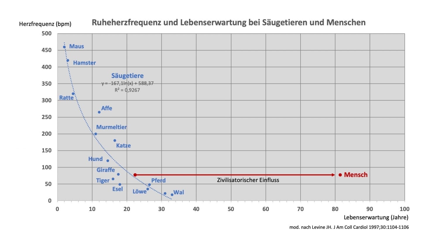 Wie hängen Lebenserwartung und Pulsfrequenz zusammen? | | Cardiopraxis®