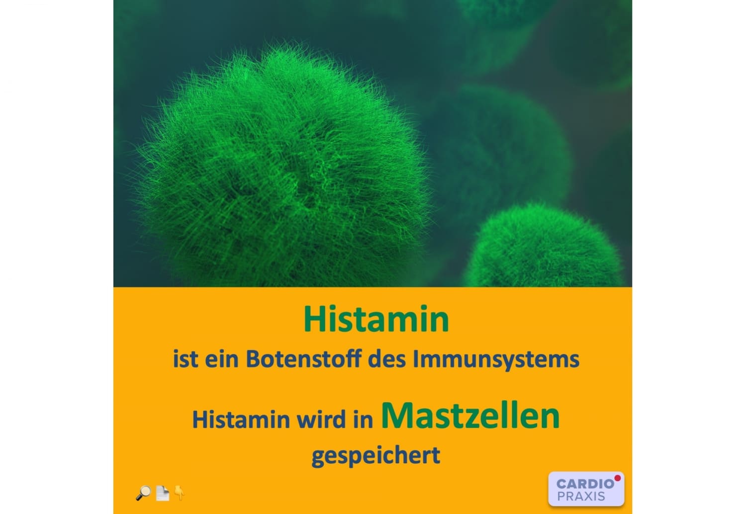Histamin | | Cardiopraxis®