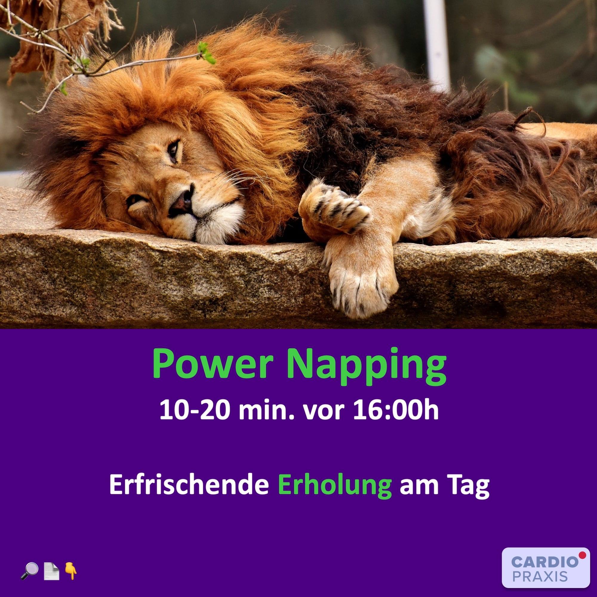 Powernap Vor Nachtschlaf Baby