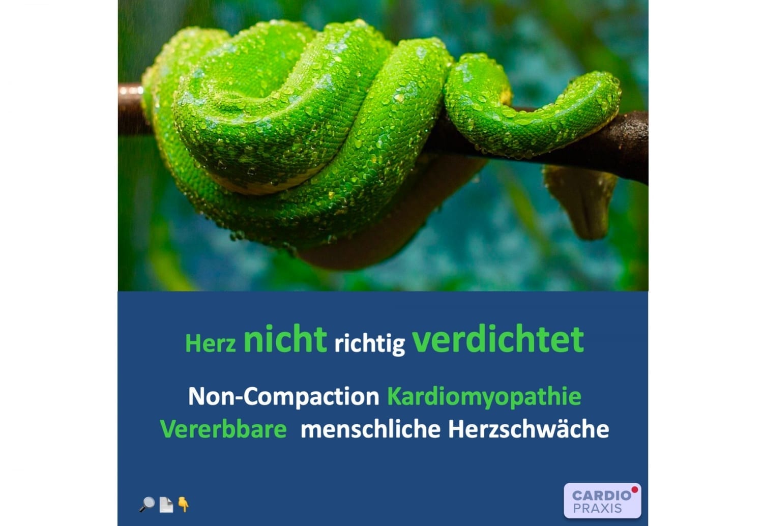 Dr. med. Margarete Adelstein | Kardiologin in Düsseldorf