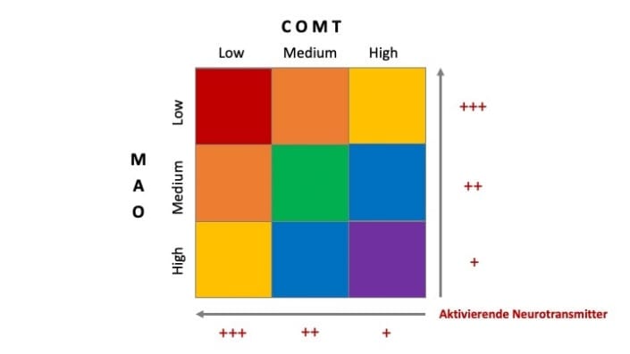COMT & MAO - Blutdruck, Herzrasen, Angst, Depression | | Cardiopraxis®
