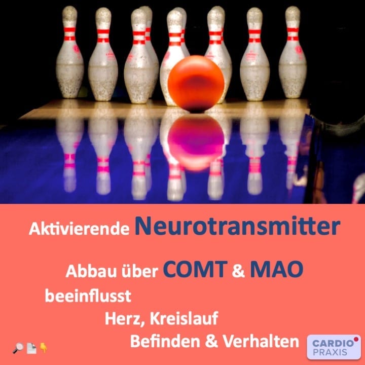 COMT & MAO - Blutdruck, Herzrasen, Angst, Depression | | Cardiopraxis®
