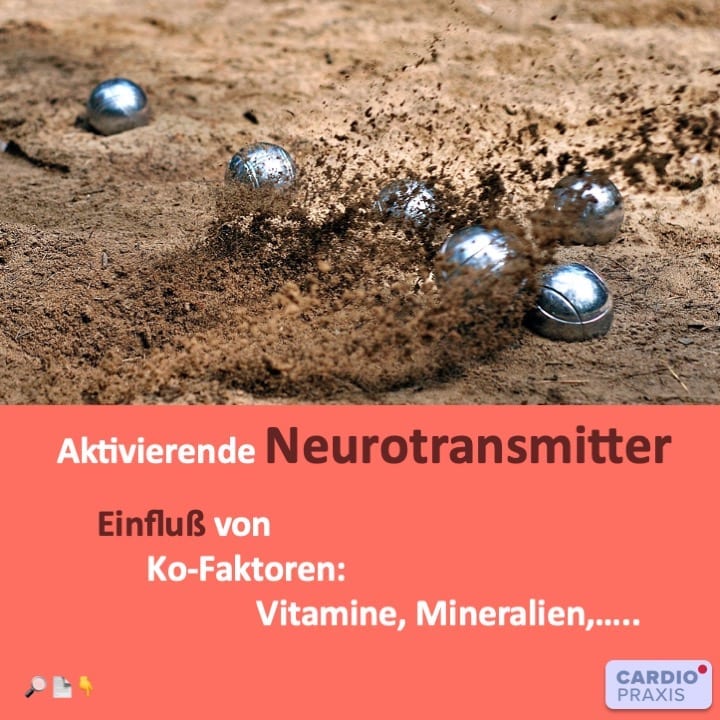 Nahrungsergänzungs-mittel für COMT, MAO, Aromatase | | Cardiopraxis®